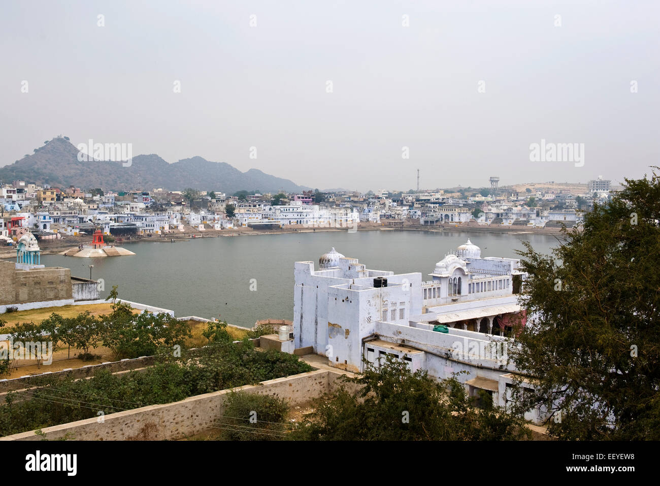 India, Rajasthan, Pushkar, landscape Stock Photo - Alamy