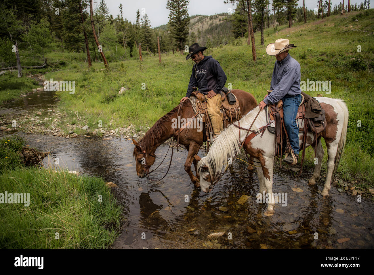 Joe Scanlon on brown horse and his friend Joe Krusch explore the ...