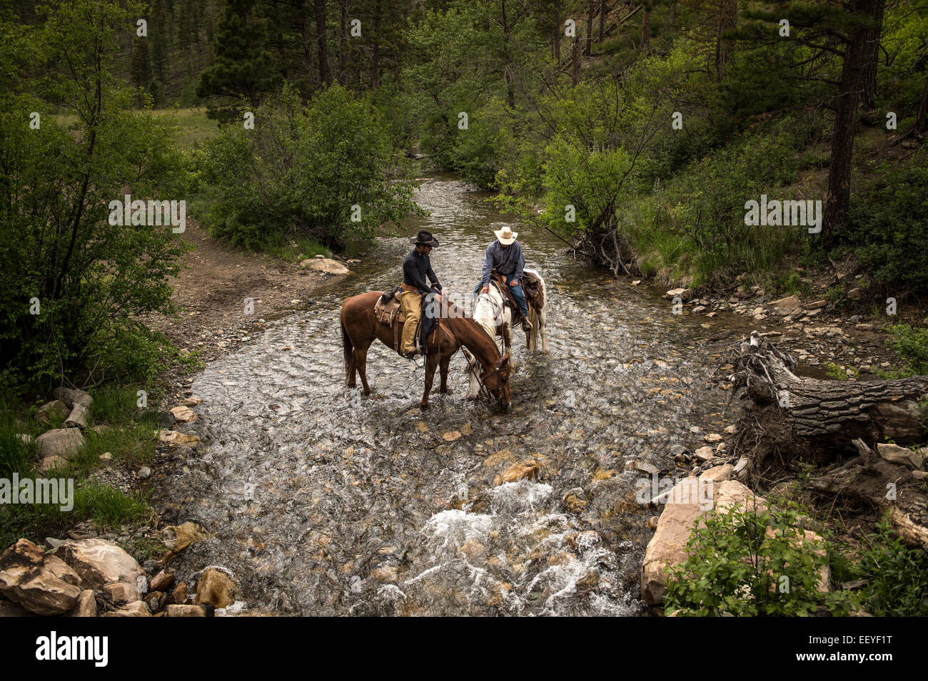 Joe Scanlon on brown horse and his friend Joe Krutsch go for a ride at ...