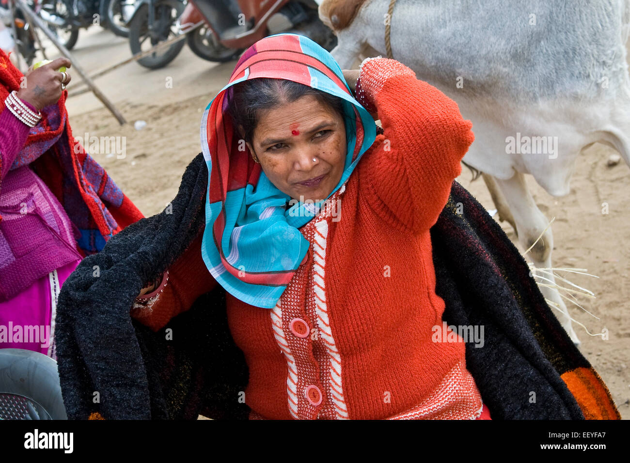 India, Rajasthan, Pushkar, women Stock Photo - Alamy