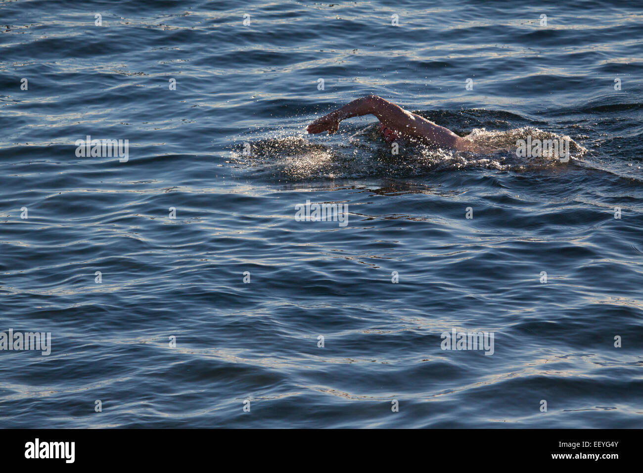 Swimmer ocean hi-res stock photography and images - Alamy