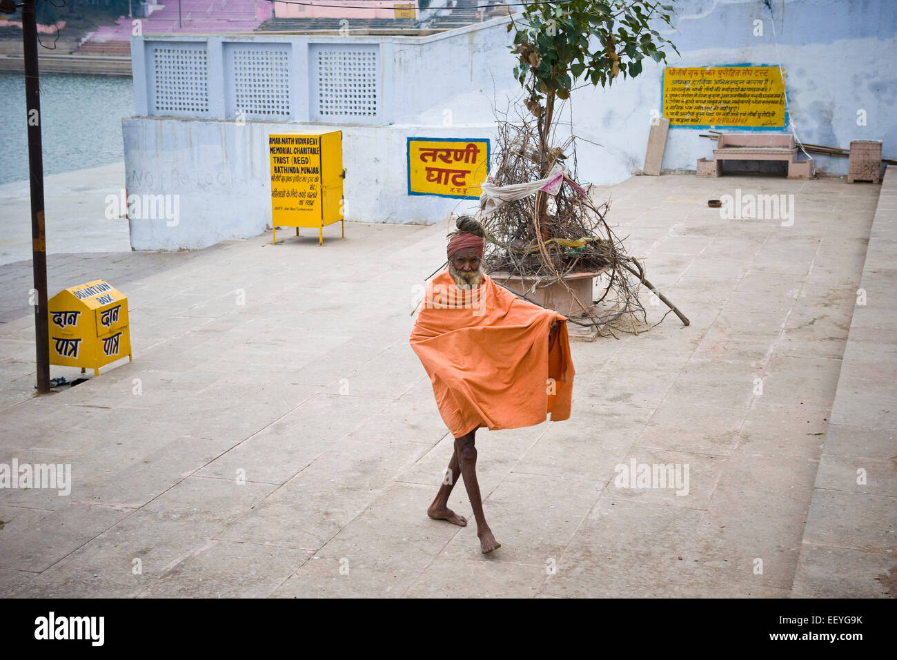India, Rajasthan, Pushkar, old sadu Stock Photo - Alamy