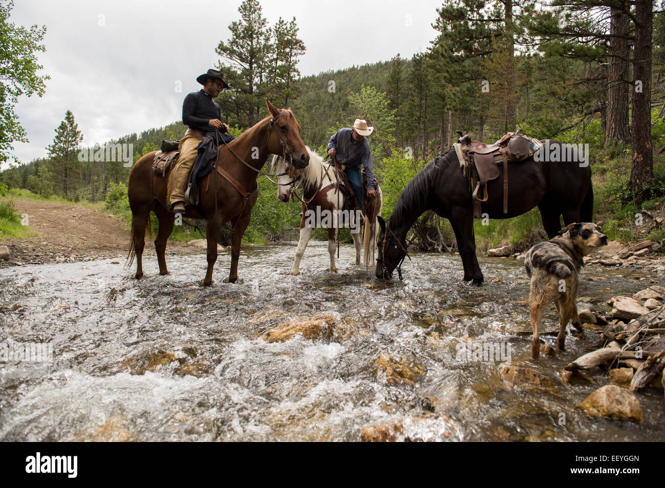 Joe Scanlon on brown horse and his friend Joe Krutsch go for a ride at ...