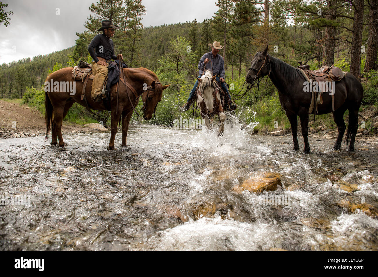Joe Scanlon on brown horse and his friend Joe Krutsch go for a ride at ...