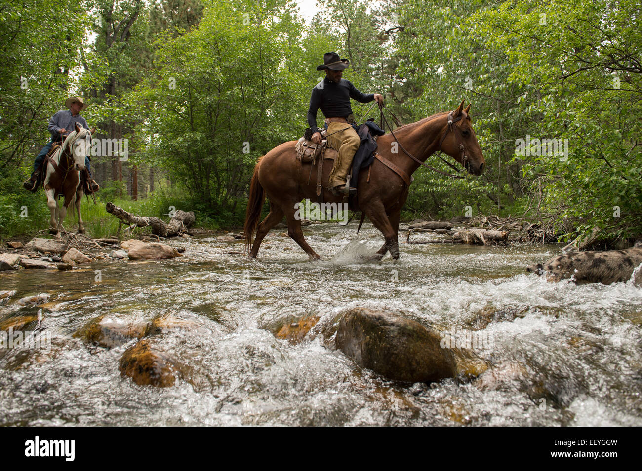 Joe Scanlon on brown horse and his friend Joe Krutsch go for a ride at ...