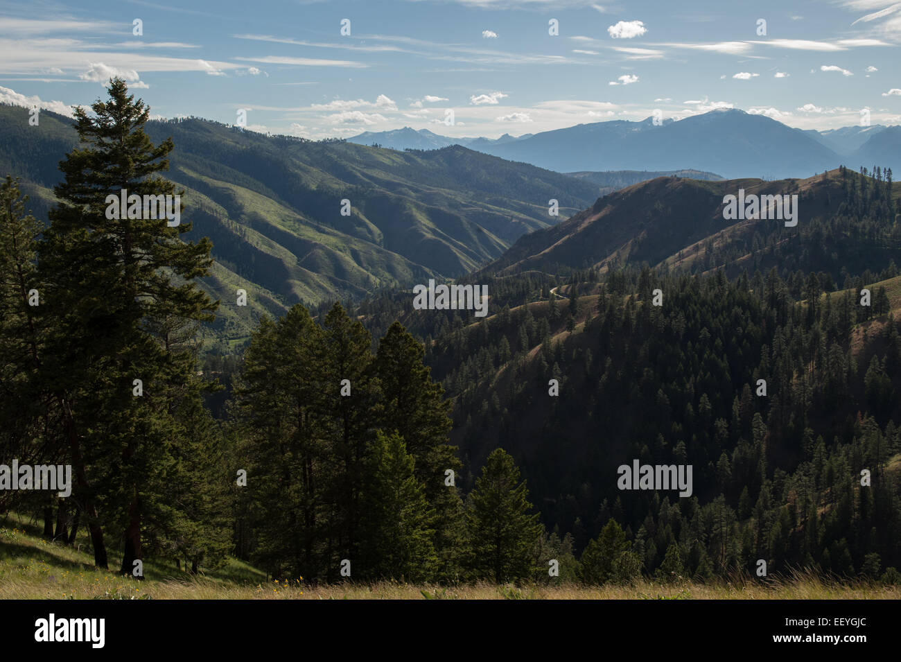 Anaconda pintler montana hi-res stock photography and images - Alamy