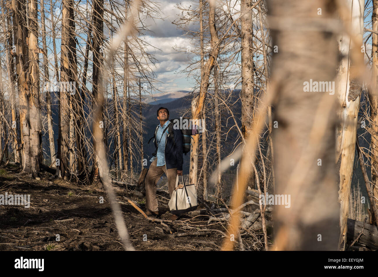 Dr. M Sanjayan walks to the Gird Point Lookout on top of a mountain ...
