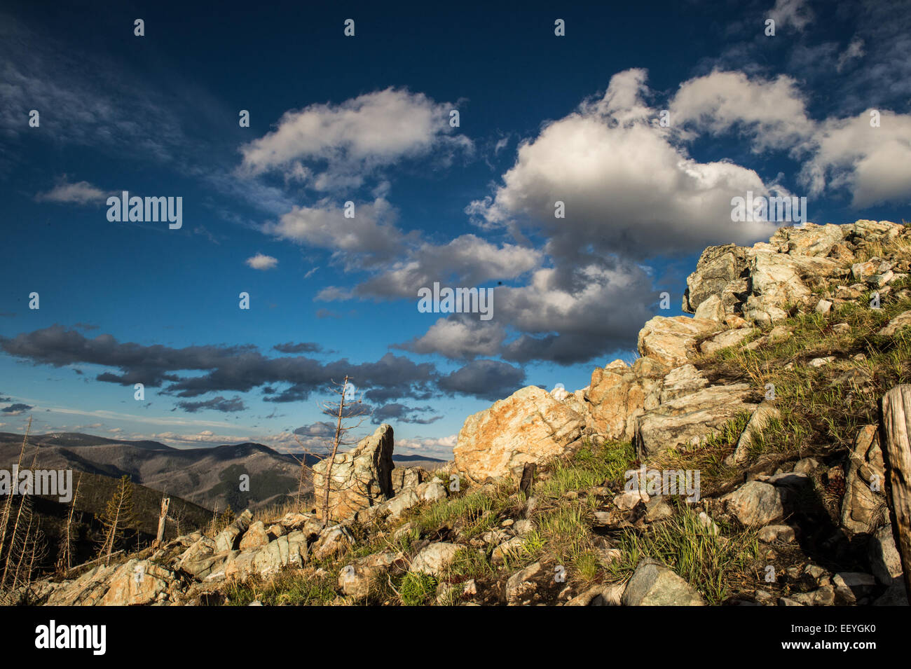 Anaconda pintler hi-res stock photography and images - Alamy