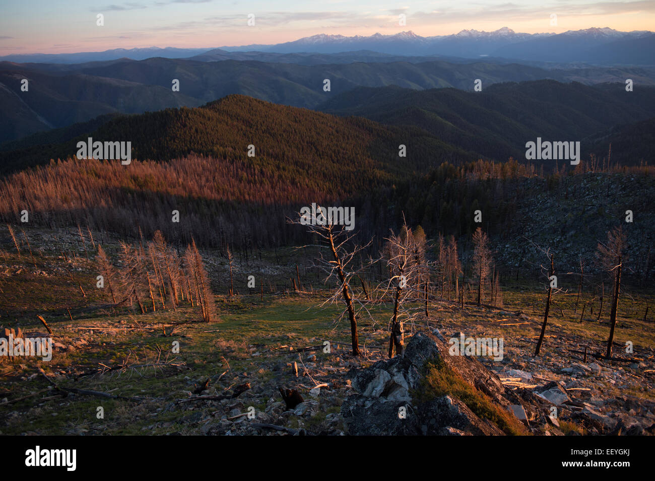 Anaconda pintler scenic montana hi-res stock photography and images - Alamy