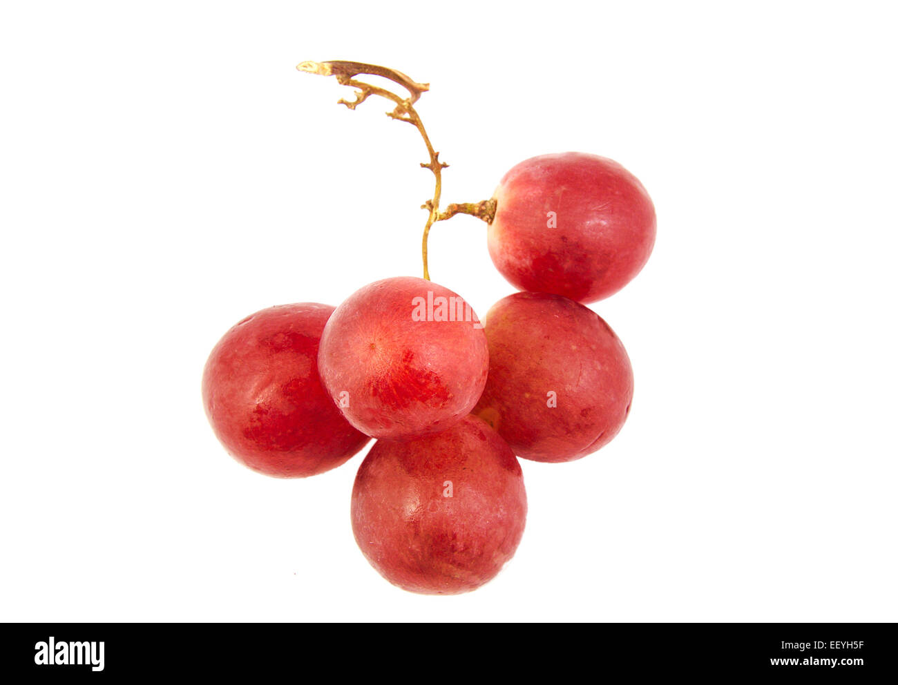 Red globe grapes hi-res stock photography and images - Alamy