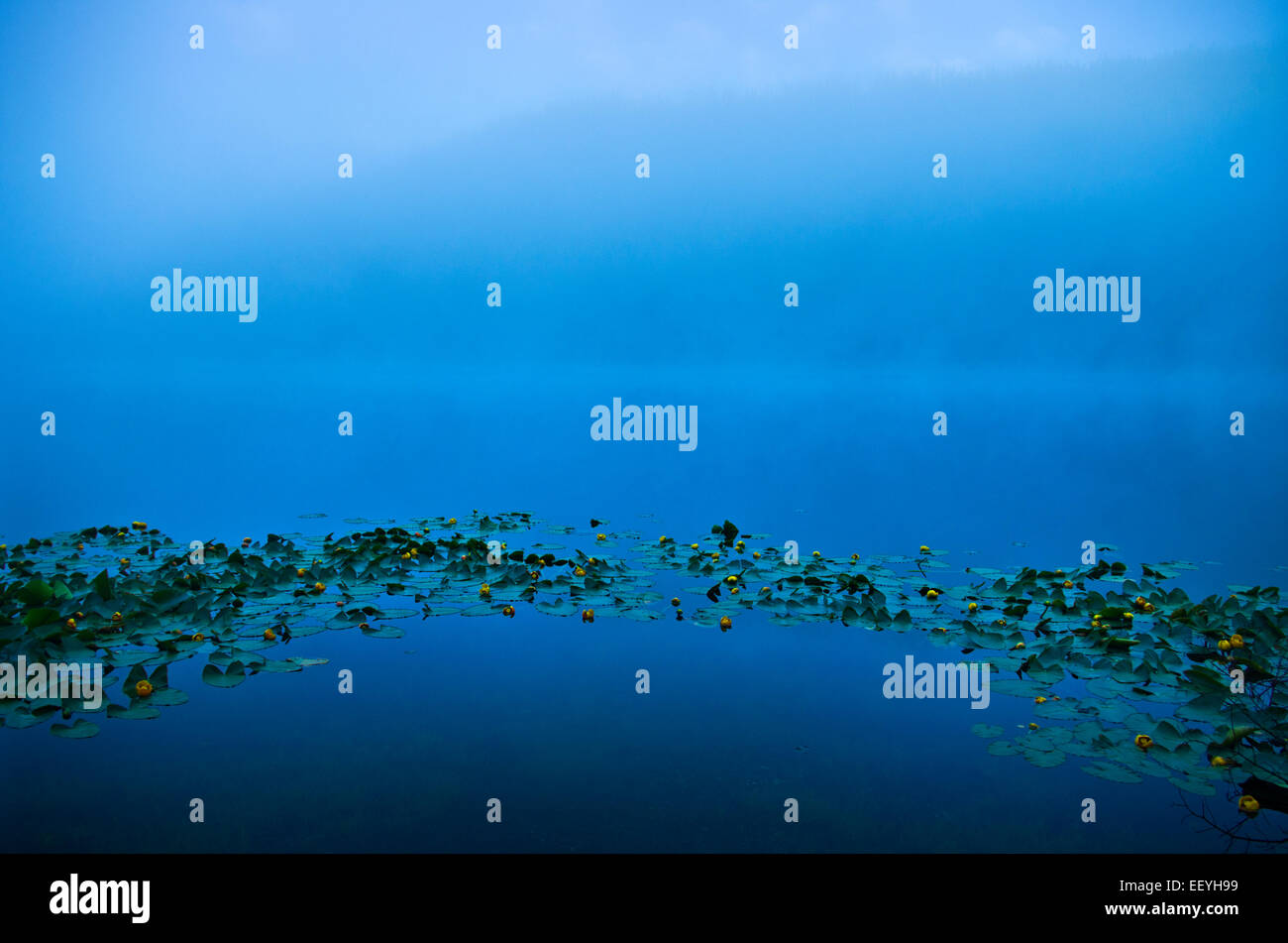 Small lake yellowstone national hi-res stock photography and images - Alamy