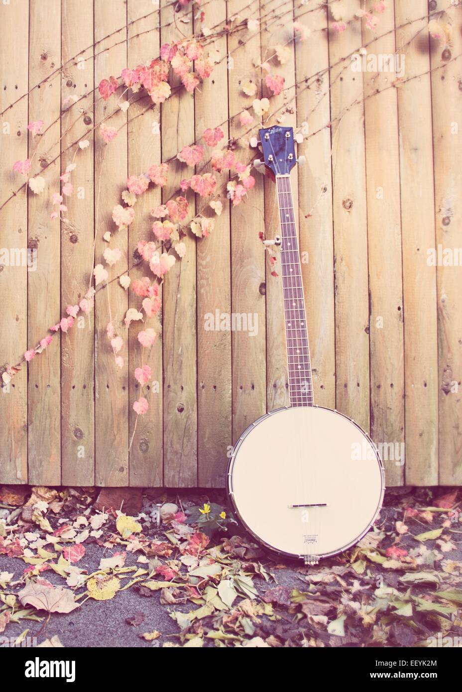Banjo in autumn leaves hi-res stock photography and images - Alamy