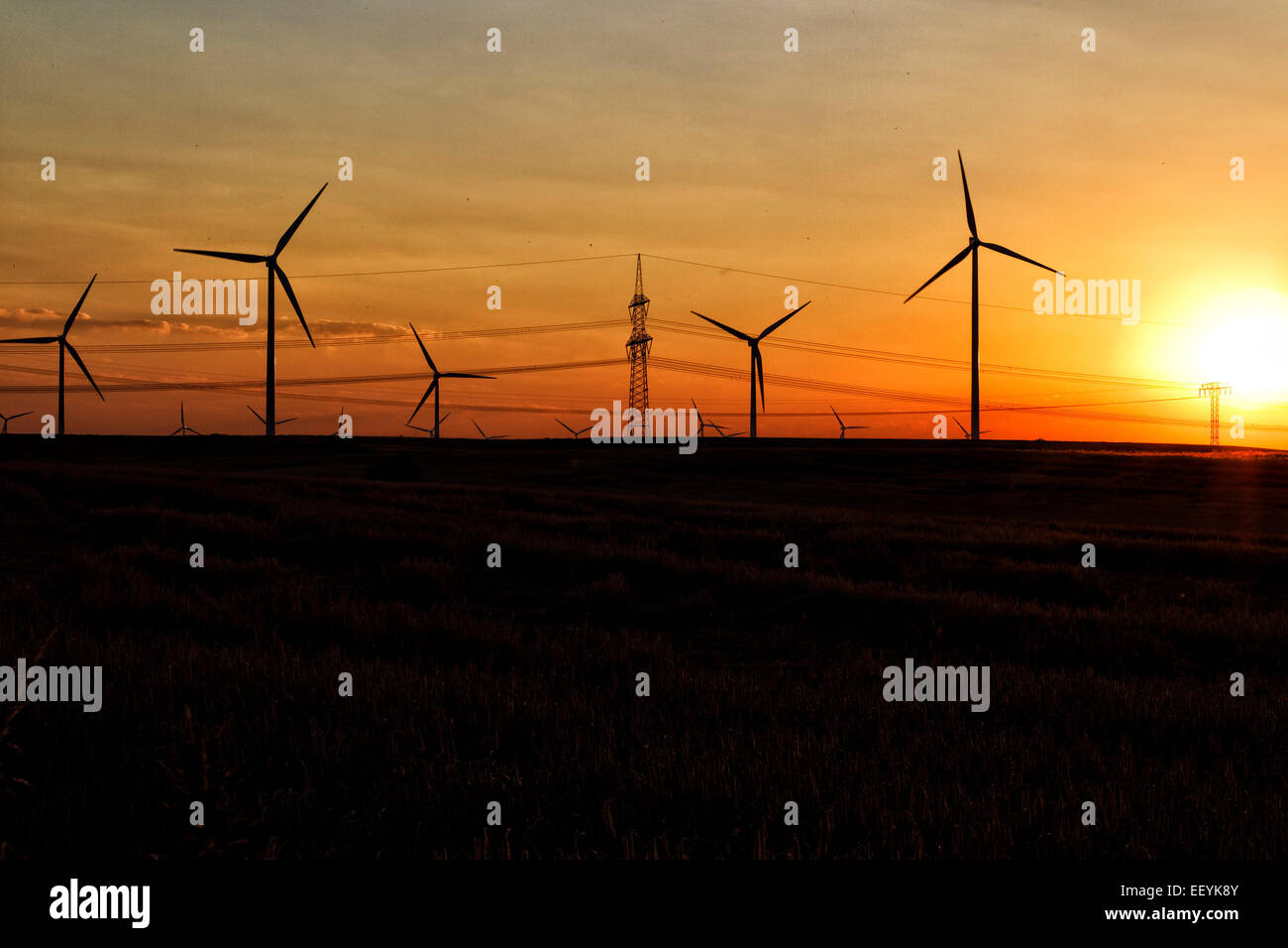 Wind farm in the sunset Stock Photo - Alamy