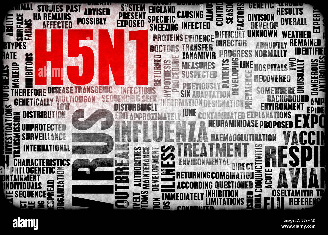 H5n1 concept hi-res stock photography and images - Alamy