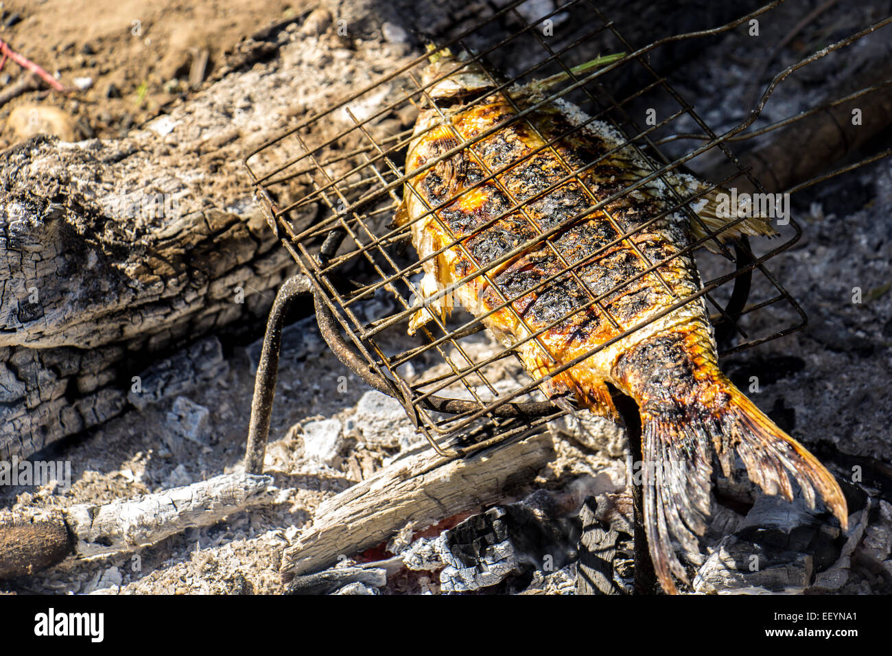 The Grilled fish, iron grill, fire, wood, charcoal Stock Photo - Alamy