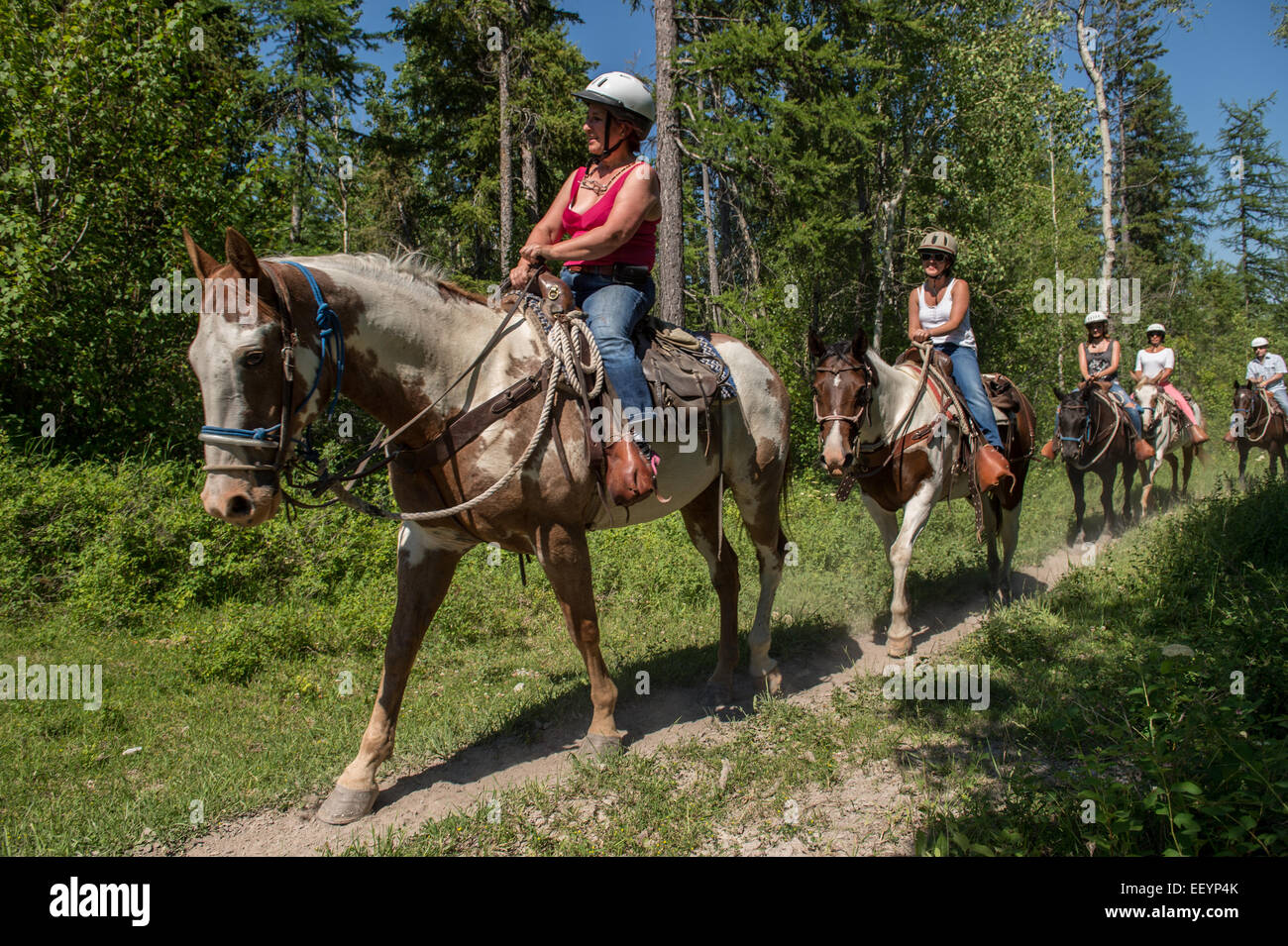 Flathead lake montana salish hi-res stock photography and images - Alamy
