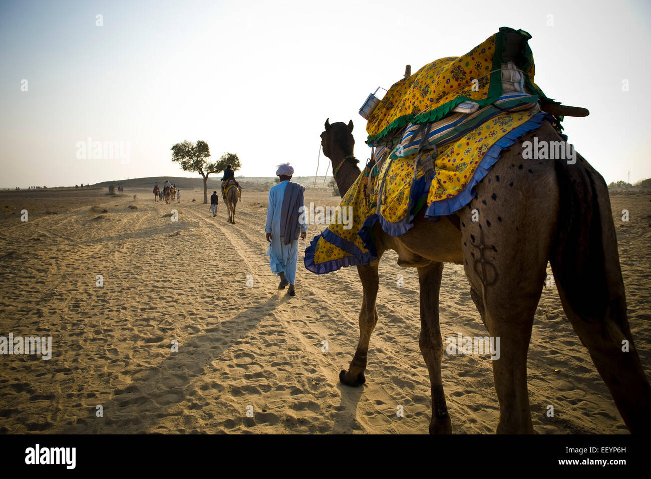 India, Rajasthan, Jaisalmer, Camel Ride Stock Photo - Alamy