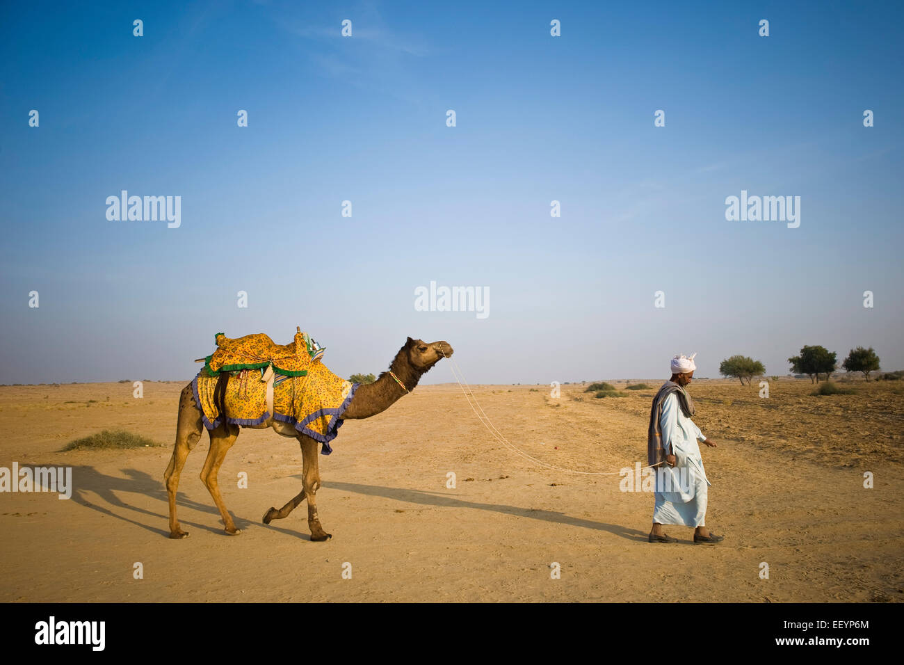 India, Rajasthan, Jaisalmer, Camel Ride Stock Photo - Alamy