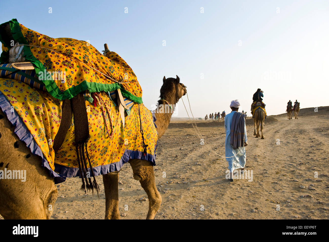 India, Rajasthan, Jaisalmer, Camel Ride Stock Photo - Alamy