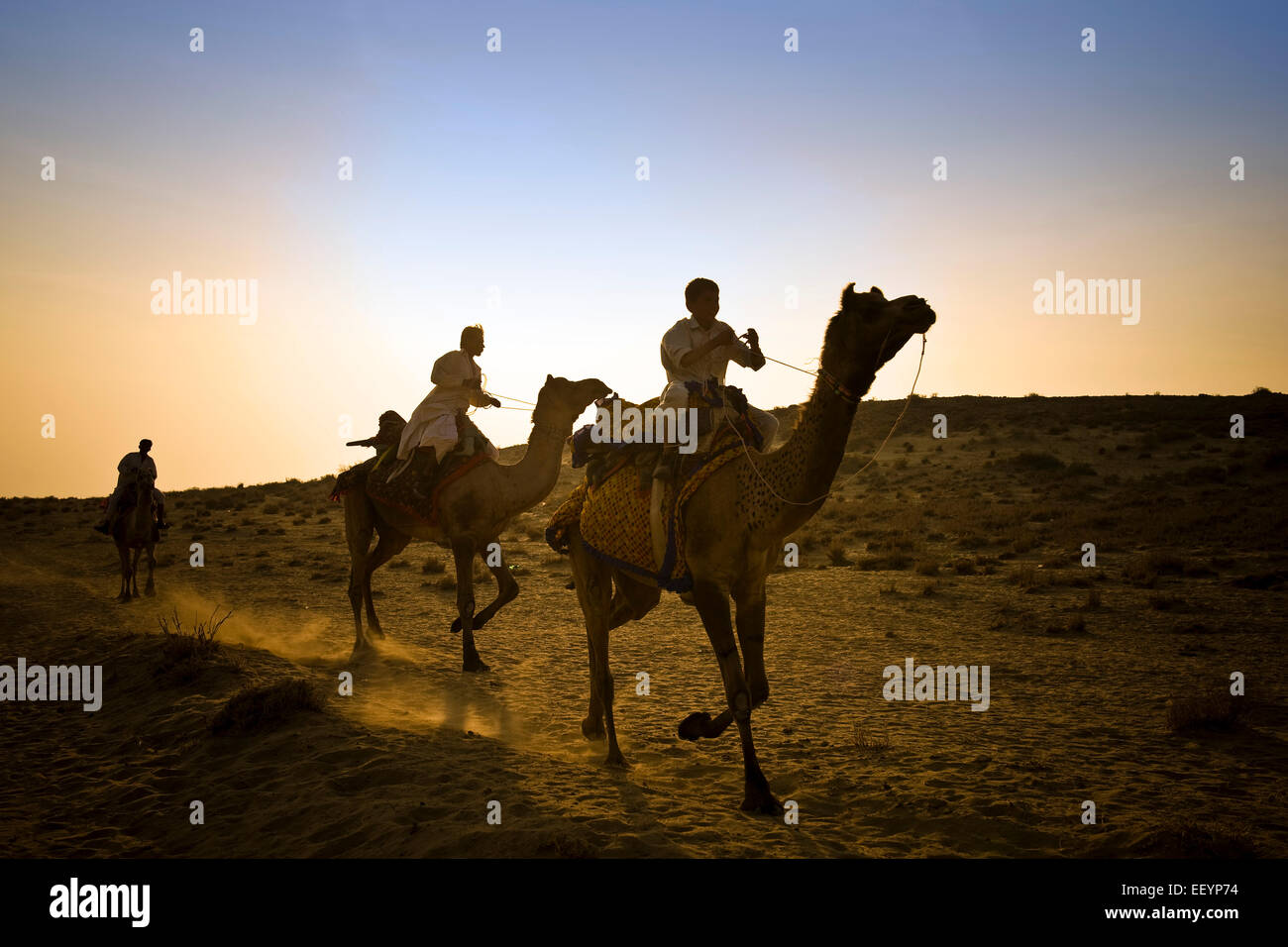India, Rajasthan, Jaisalmer, Camel Ride Stock Photo - Alamy