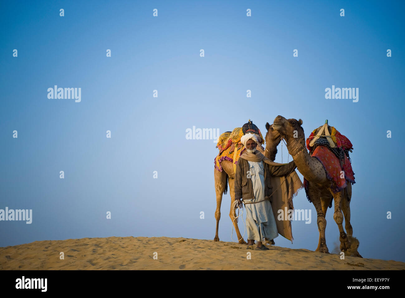 India, Rajasthan, Jaisalmer, Camel Ride Stock Photo - Alamy