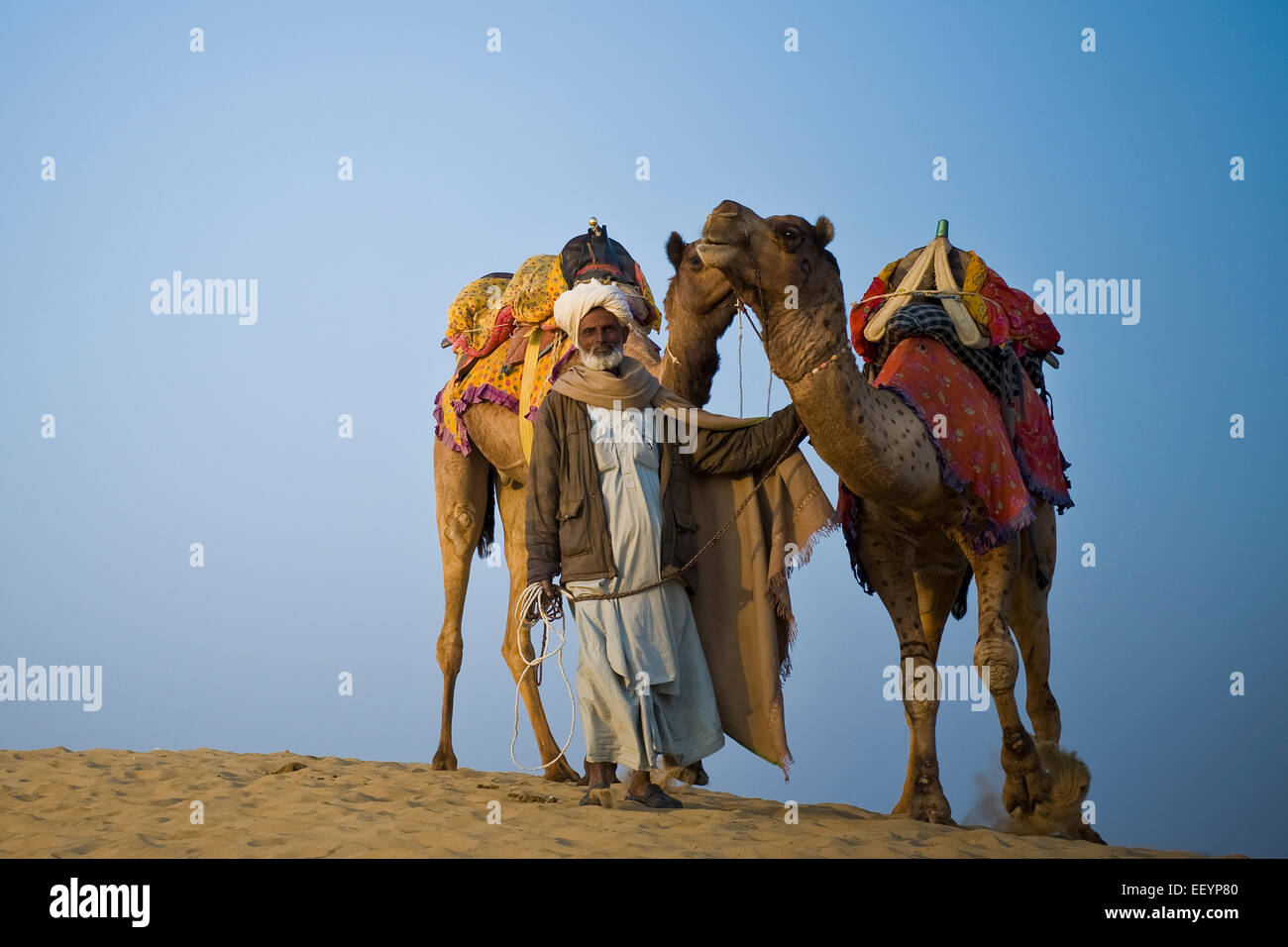 India, Rajasthan, Jaisalmer, Camel Ride Stock Photo - Alamy
