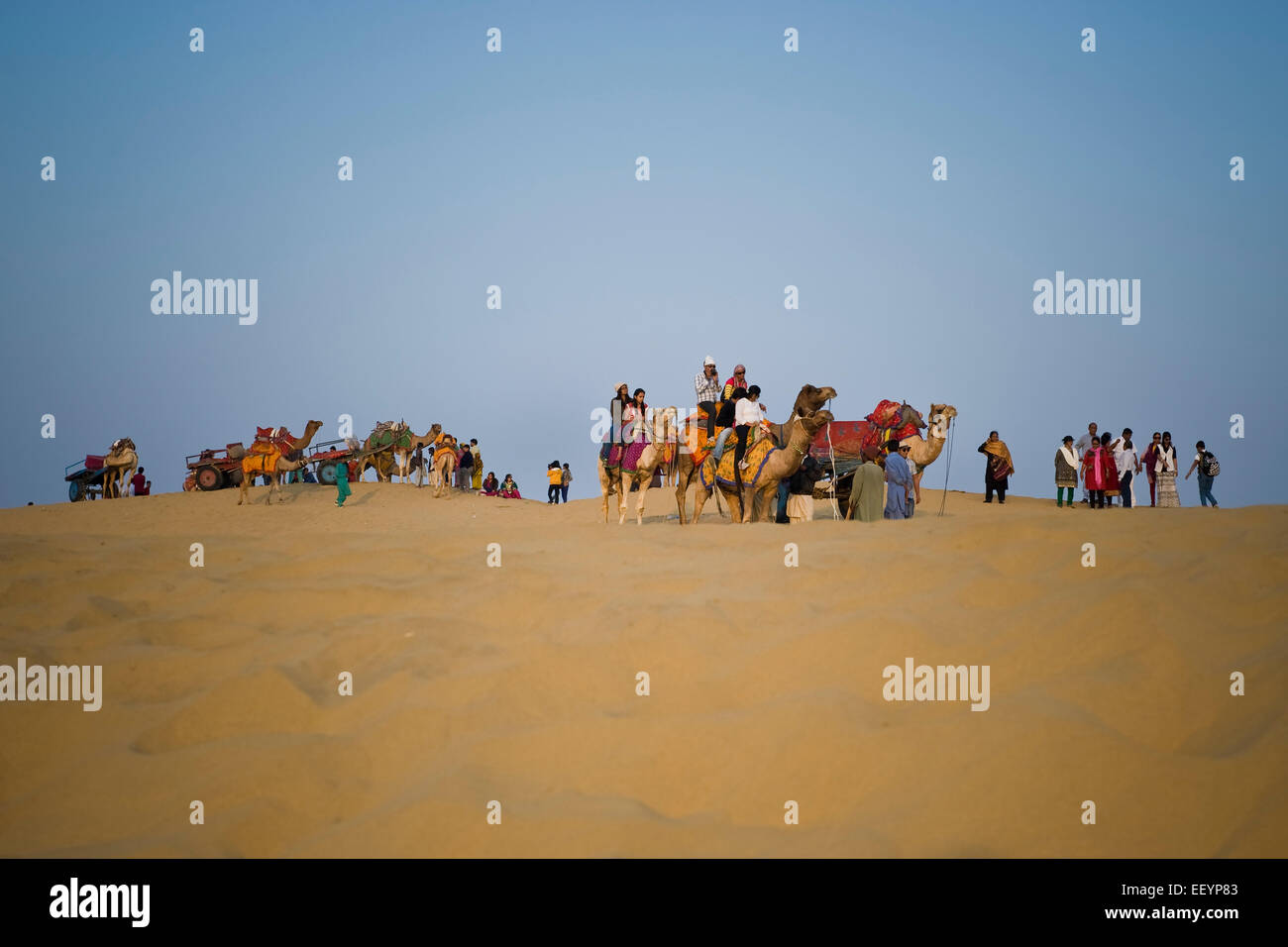India, Rajasthan, Jaisalmer, Camel Ride Stock Photo - Alamy