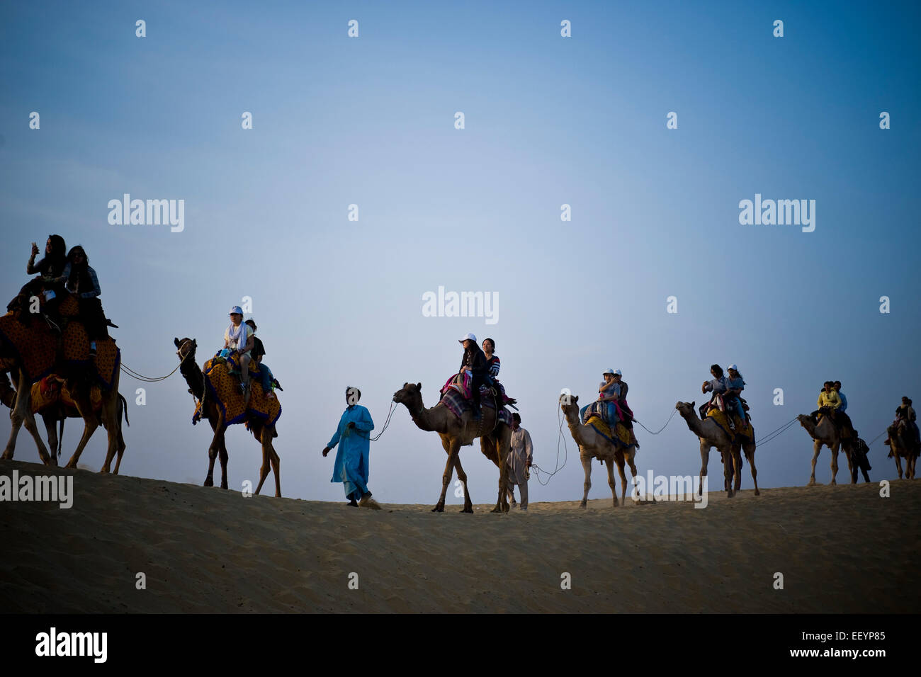India, Rajasthan, Jaisalmer, Camel Ride Stock Photo - Alamy