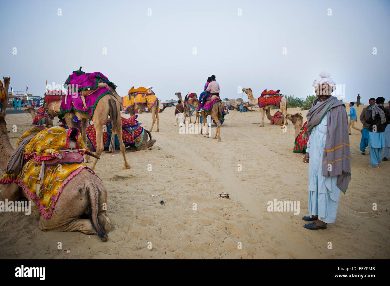 India, Rajasthan, Jaisalmer, Camel Ride Stock Photo - Alamy