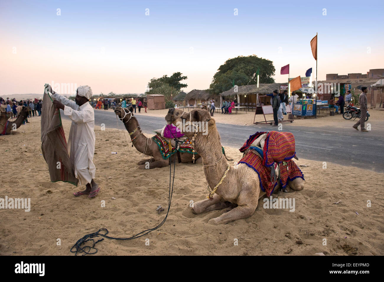 India, Rajasthan, Jaisalmer, Camel Ride Stock Photo - Alamy