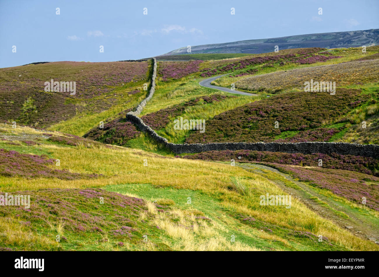 Swaledale in the Yorkshire Dales National Park, North Yorkshire Stock ...