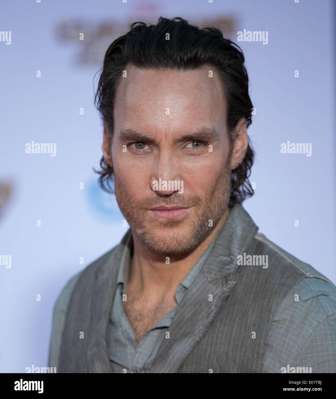 The premiere of Marvel's 'Guardians Of The Galaxy' at the Dolby Theatre ...