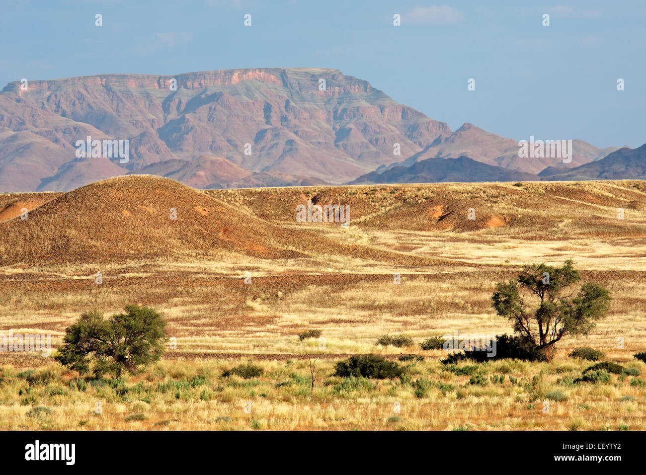 Namibia landscape hi-res stock photography and images - Alamy