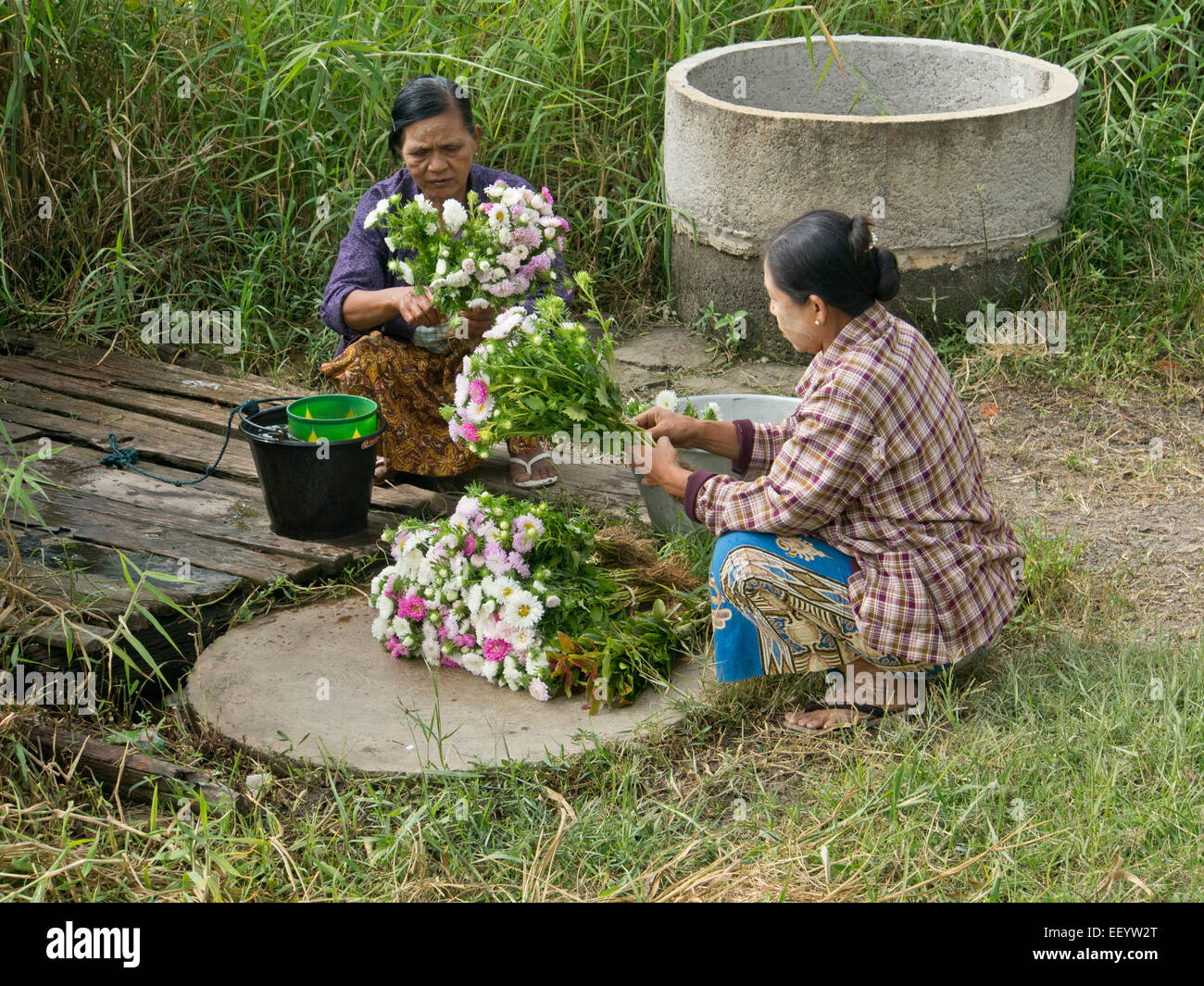 Native women sorting flowers in Shan state, Myanmar Stock Photo - Alamy