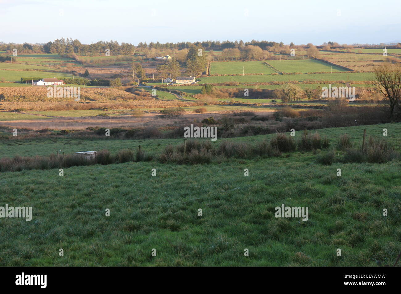 Countryside in winter evening light - County Cork - Ireland Stock Photo ...