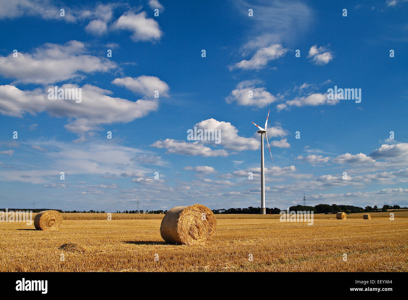 Landscape with straw bales Stock Photo - Alamy