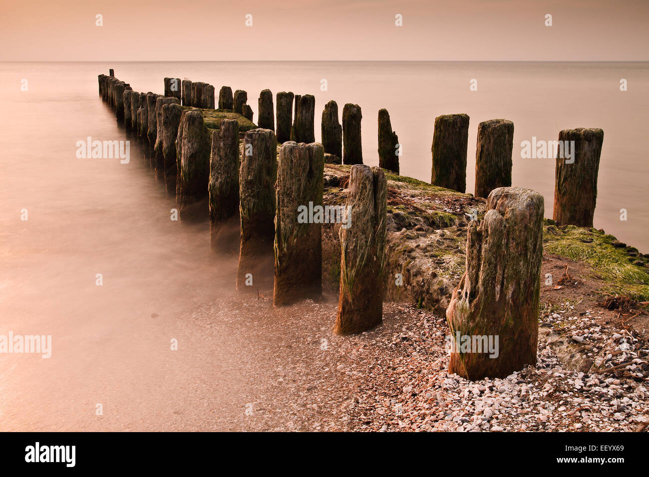 Groynes on shore of the Baltic Sea Stock Photo - Alamy