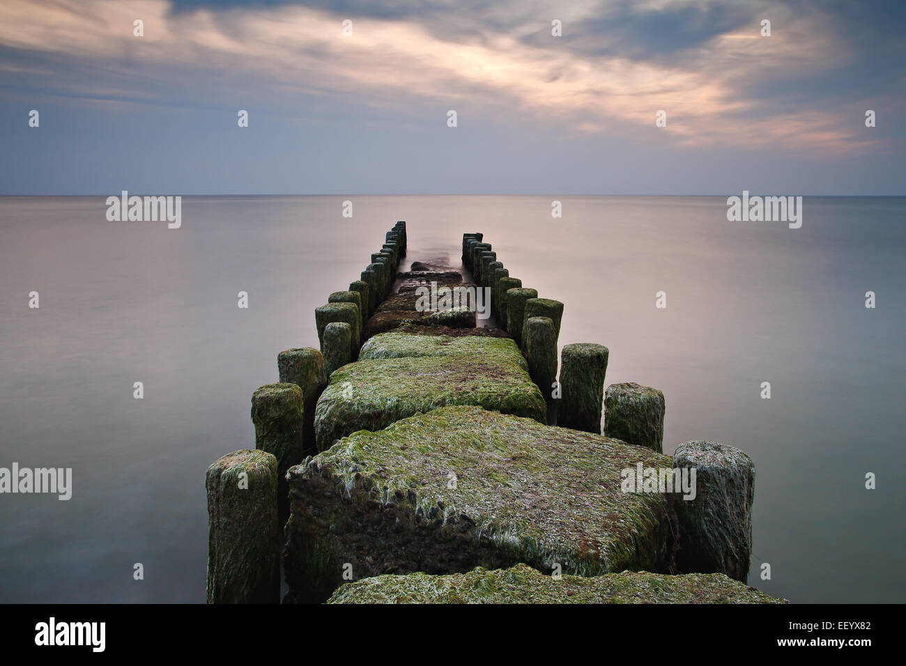Fish on beach hi-res stock photography and images - Alamy