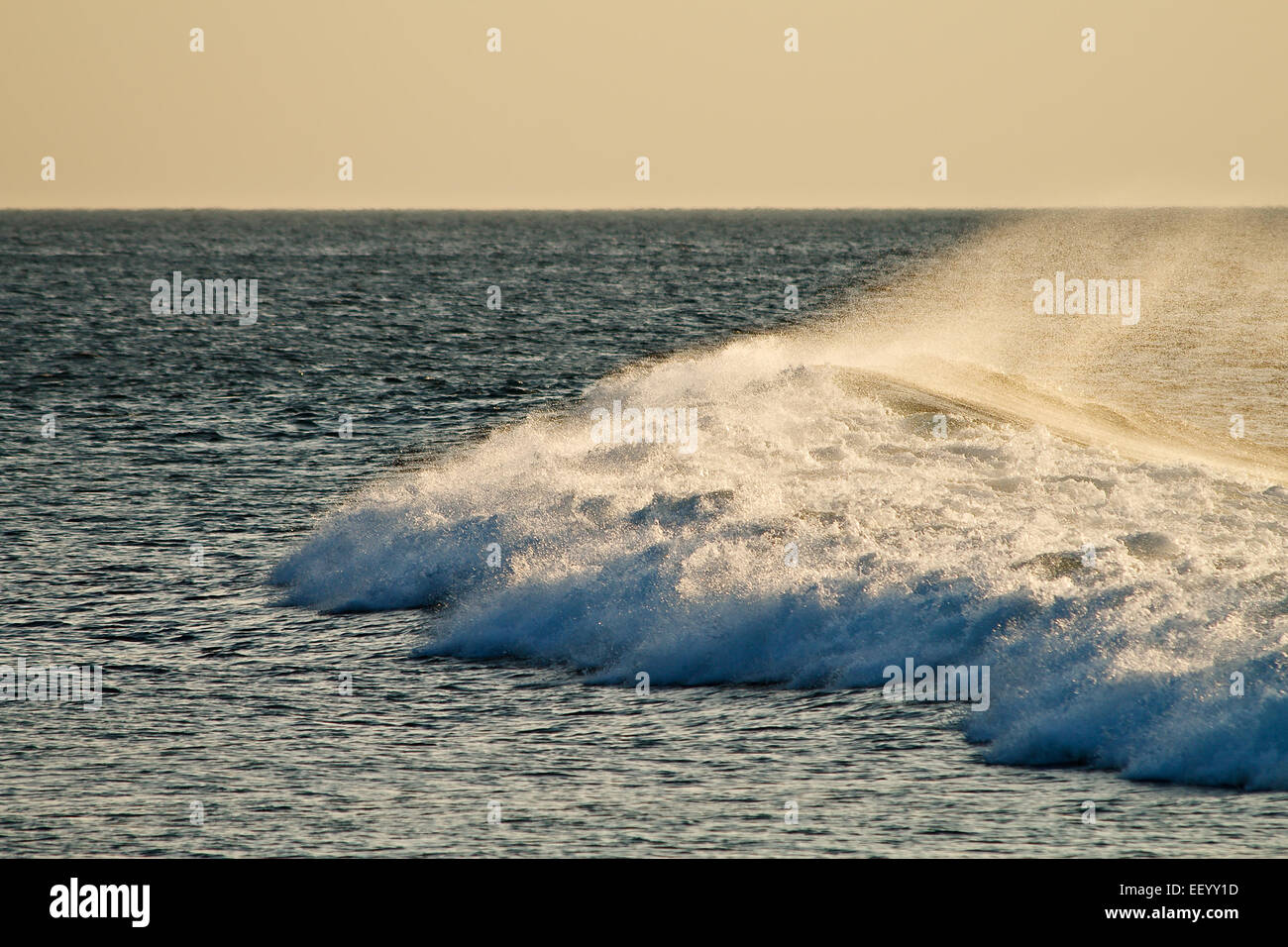 A single wave Stock Photo - Alamy