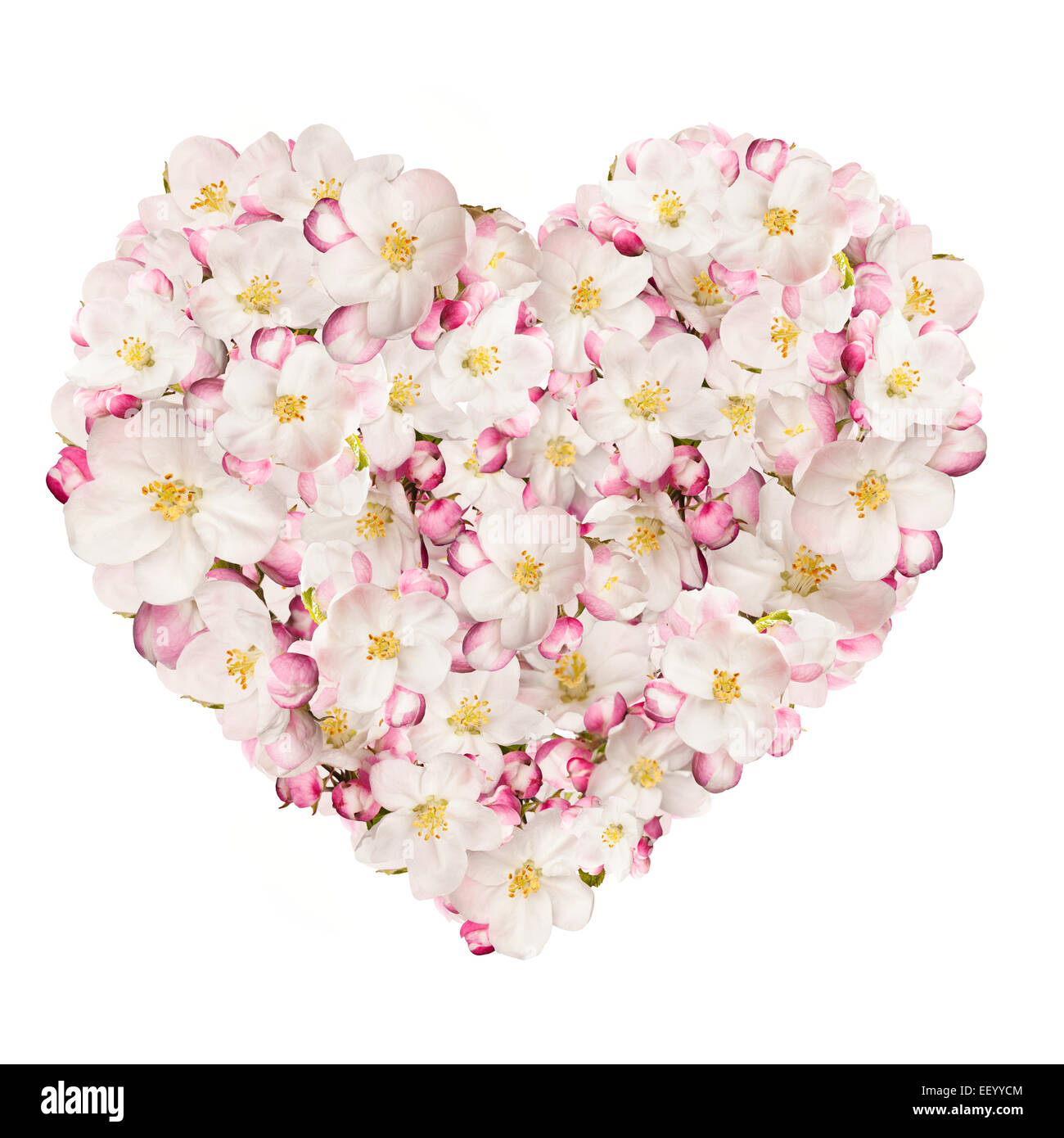 Spring heart hi-res stock photography and images - Alamy