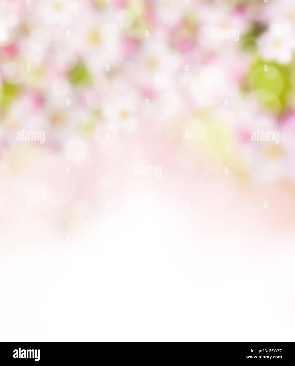 Abstract blurry spring background with spot lights Stock Photo - Alamy