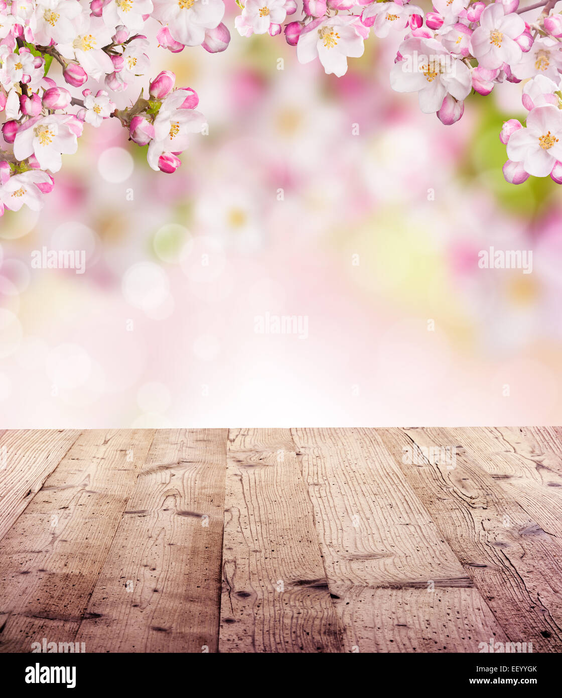 Spring abstract backgroud with wooden planks and blurry backround Stock ...