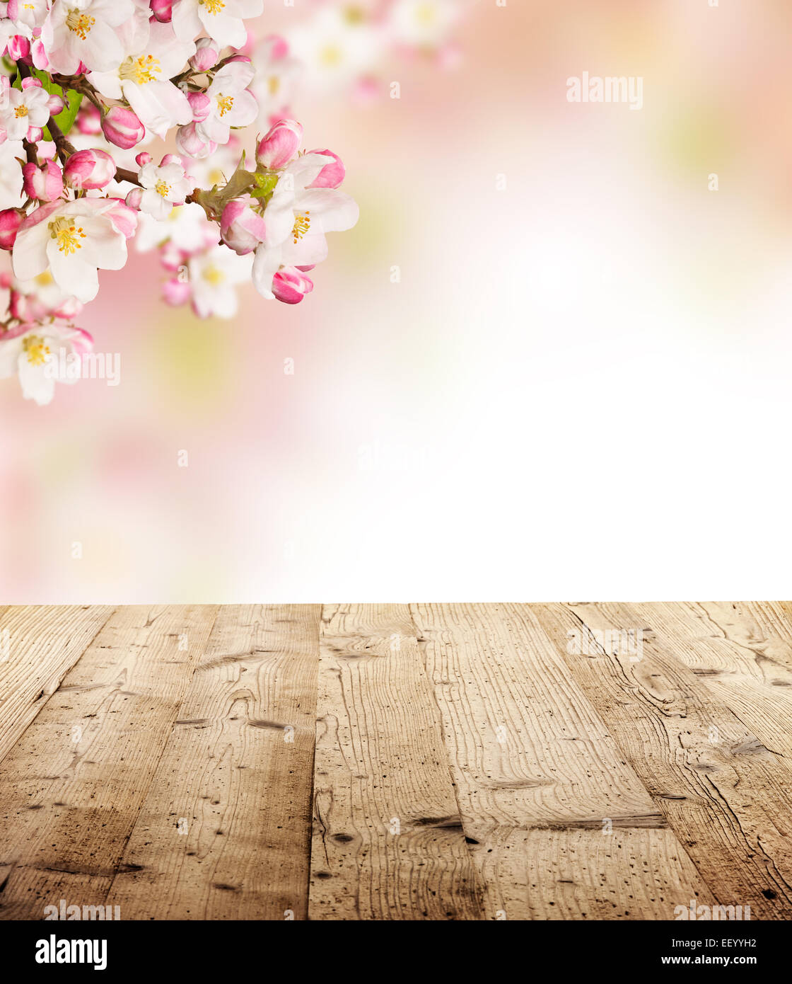 Spring abstract backgroud with wooden planks and blurry backround Stock ...