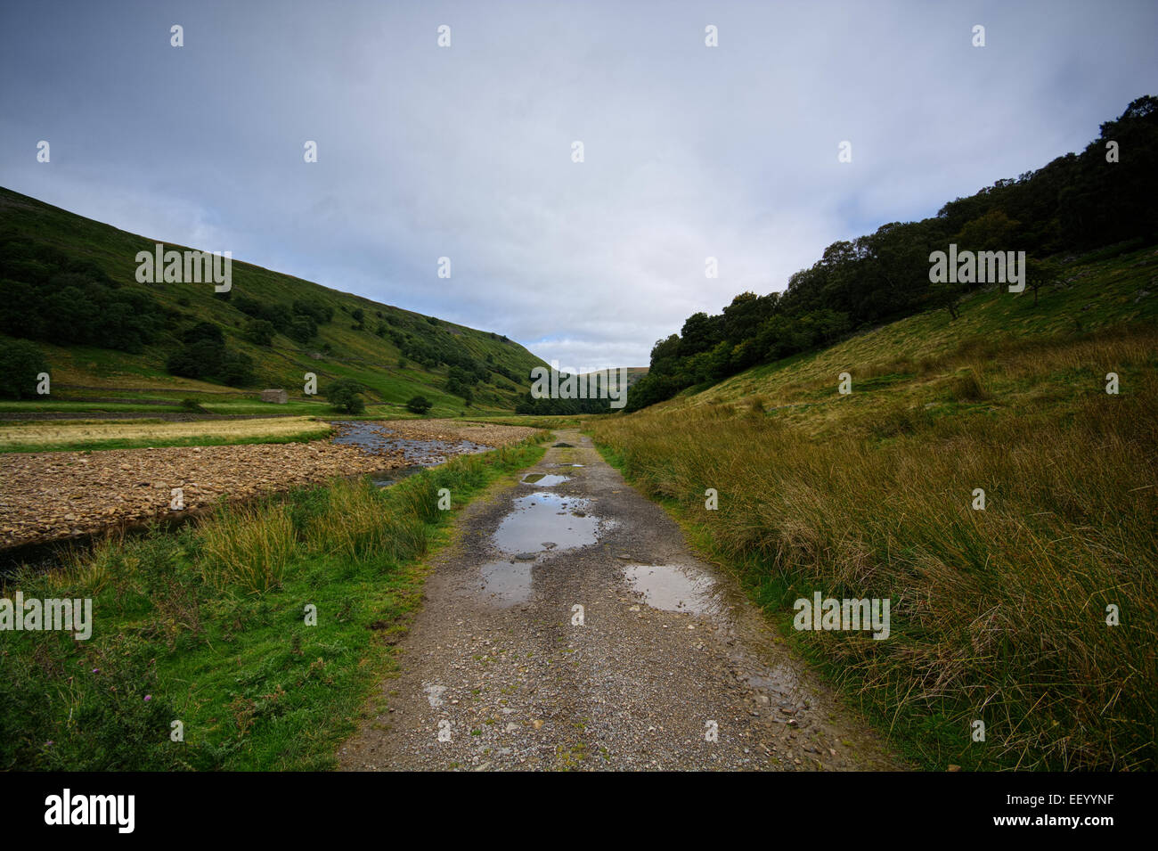 Swaledale in the Yorkshire Dales National Park, North Yorkshire Stock ...