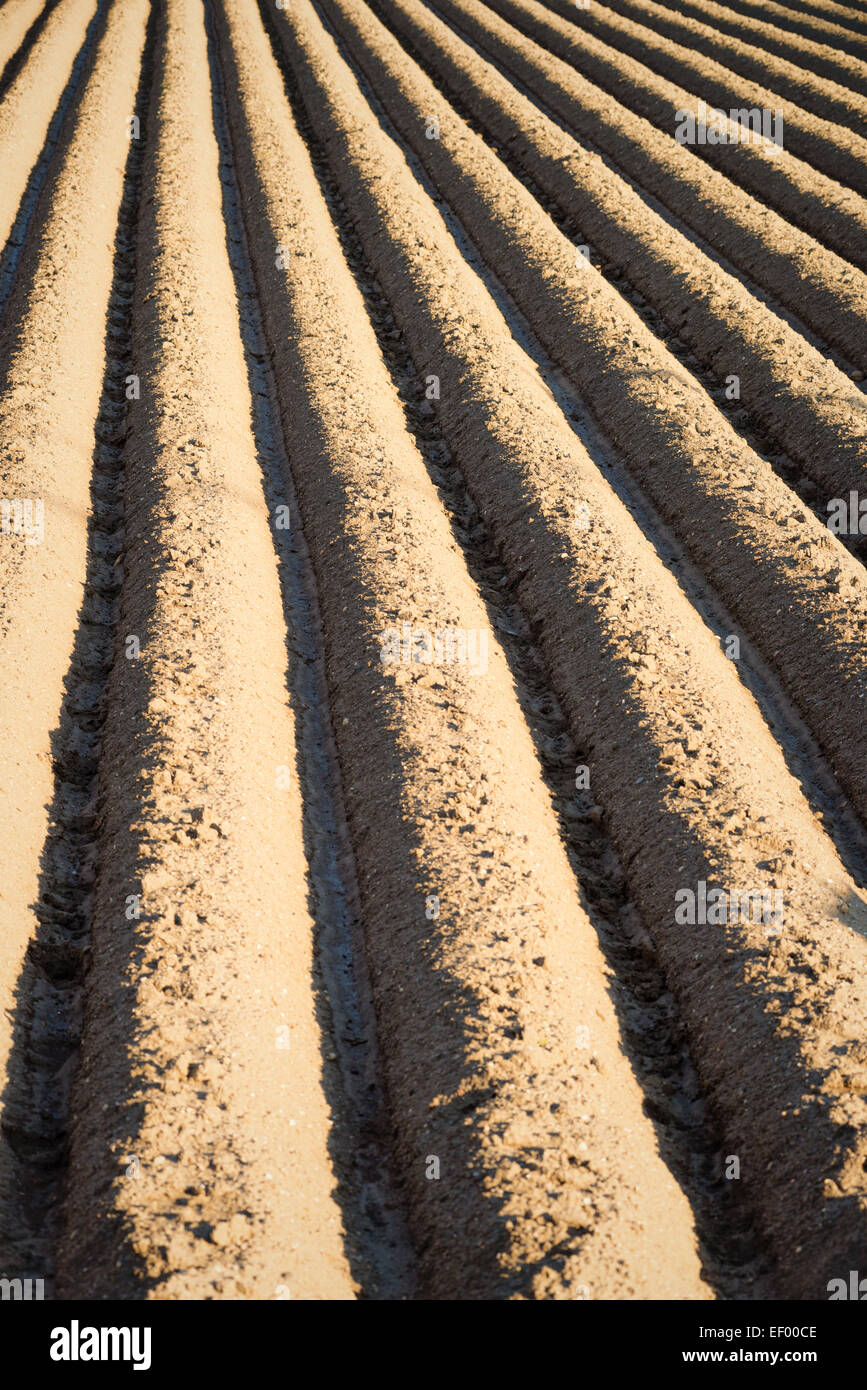 Full frame take of deep freshly ploughed furrows Stock Photo - Alamy