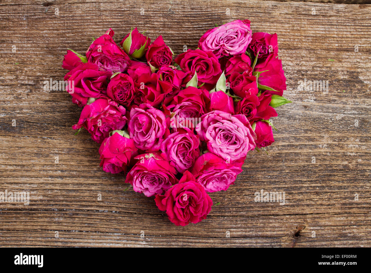 heart of roses Stock Photo - Alamy