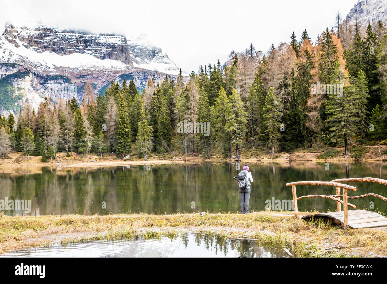 a girl walking in the forest in the italian alps Stock Photo - Alamy