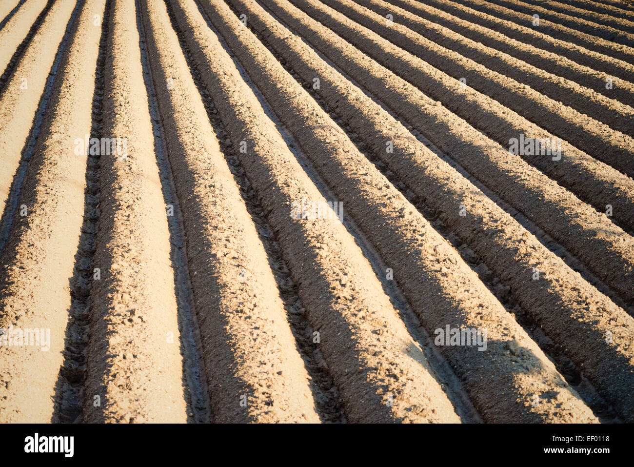 Ploughed field deep furrows hi-res stock photography and images - Alamy