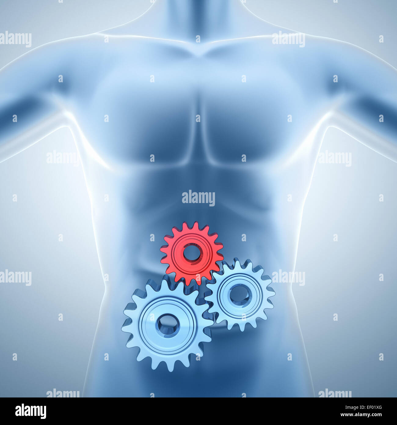 Human torso with gears inside Stock Photo - Alamy