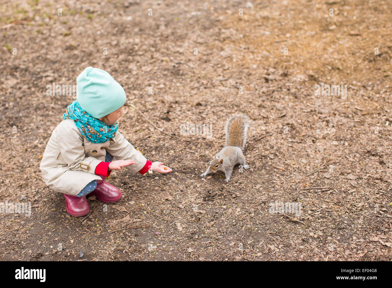 Little girl feeds a squirrel in Central park, New York, America Stock ...
